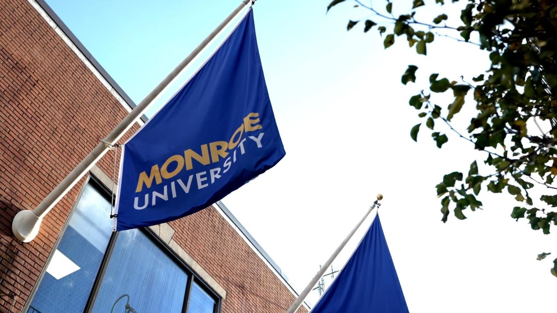 权威解读：一文搞懂Day 1 CPT | Day 1 CPT中文网