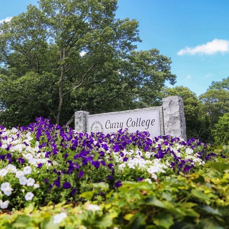 索菲亚大学 Sofia University：加州CPT名校｜学校详解｜申请指南｜学费&奖学金信息大全 ｜Day 1 CPT 中文网